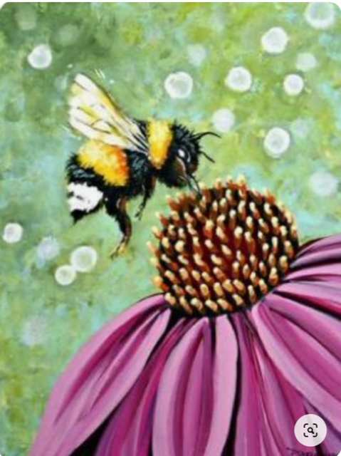 Summer Programs – Lake Summerside